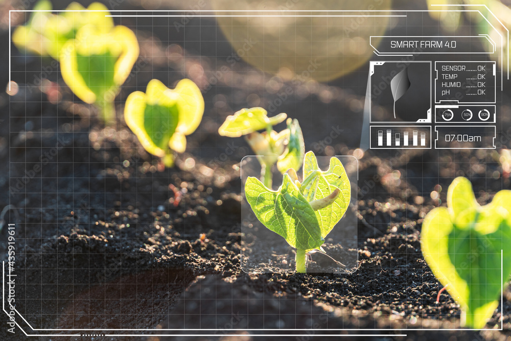 Agriculture with iot and artificial intelligence technology in smart ...