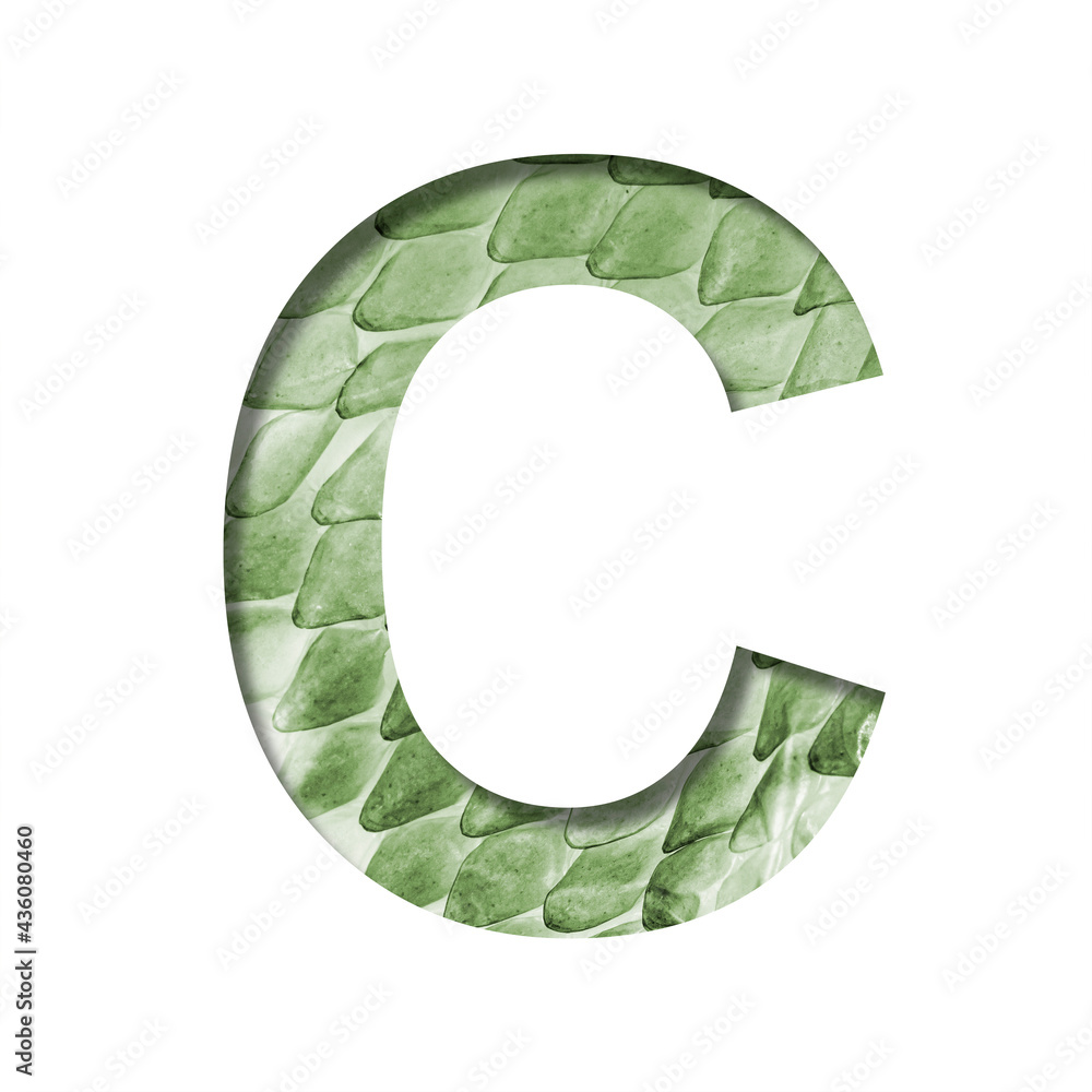 Snake scales font. The letter C cut out of paper on the background of a ...