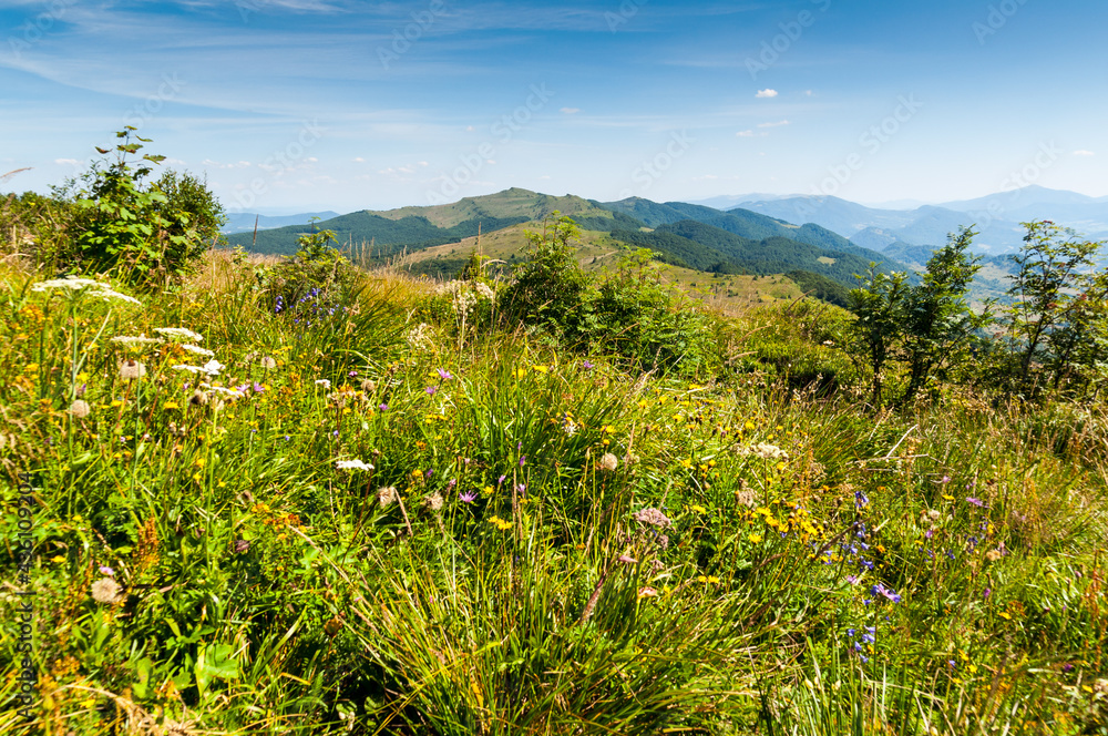 Panorama from the Rozsypaniec summit to the peaks of Tarnica, Halicz ...