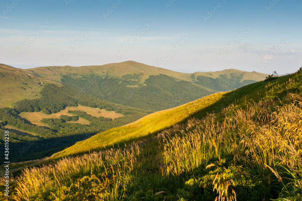 Panorama from the top of Tarnica to Halicz, Rozsypaniec, Krzemien ...