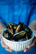 Ocean Clam Shell Free Stock Photo - Public Domain Pictures