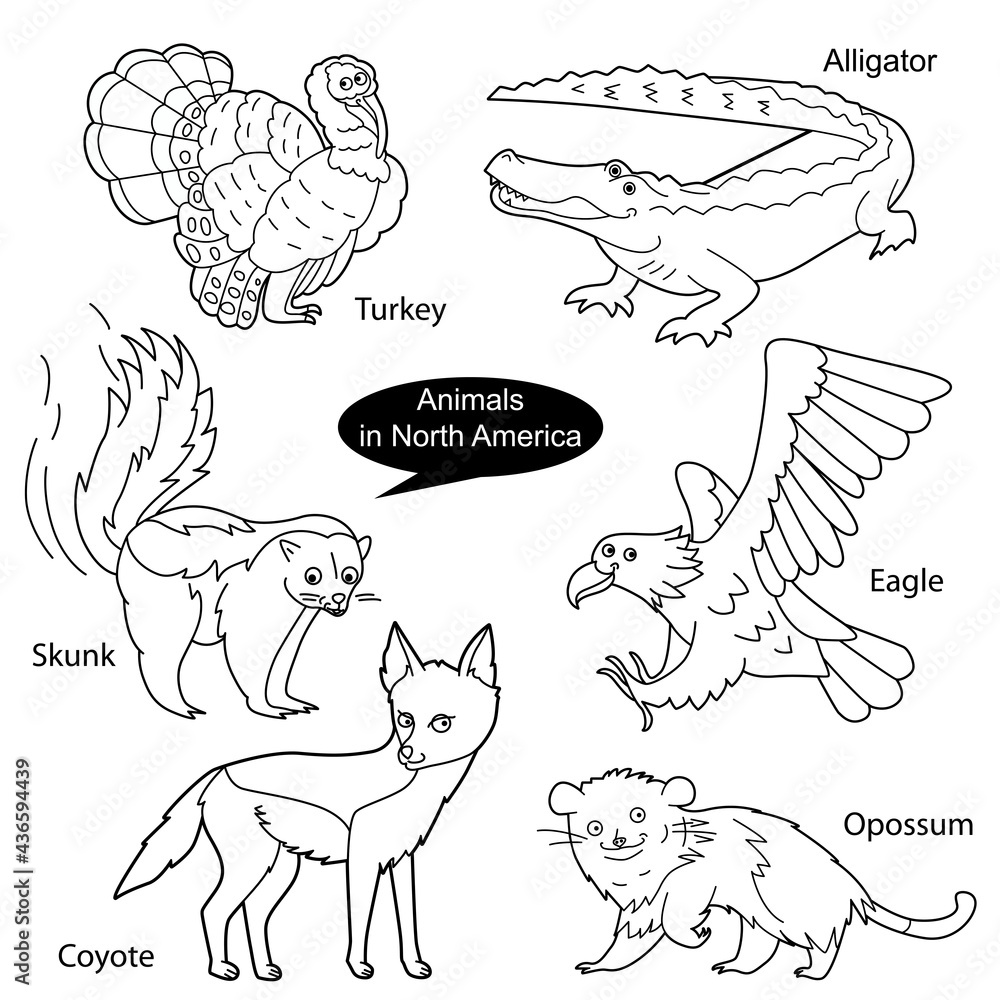 Set with funny cute animals living in North America. Objects isolated ...