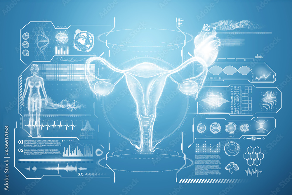 Hologram of the female organ of the uterus with different medical ...