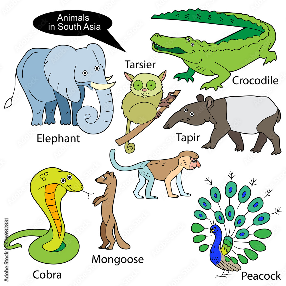Collection with funny cute animals living in South Asia. Objects ...