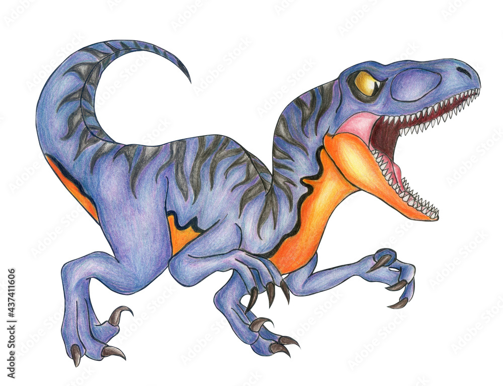 Velociraptor dinosaur. Hand painted dinosaurs isolated on white ...
