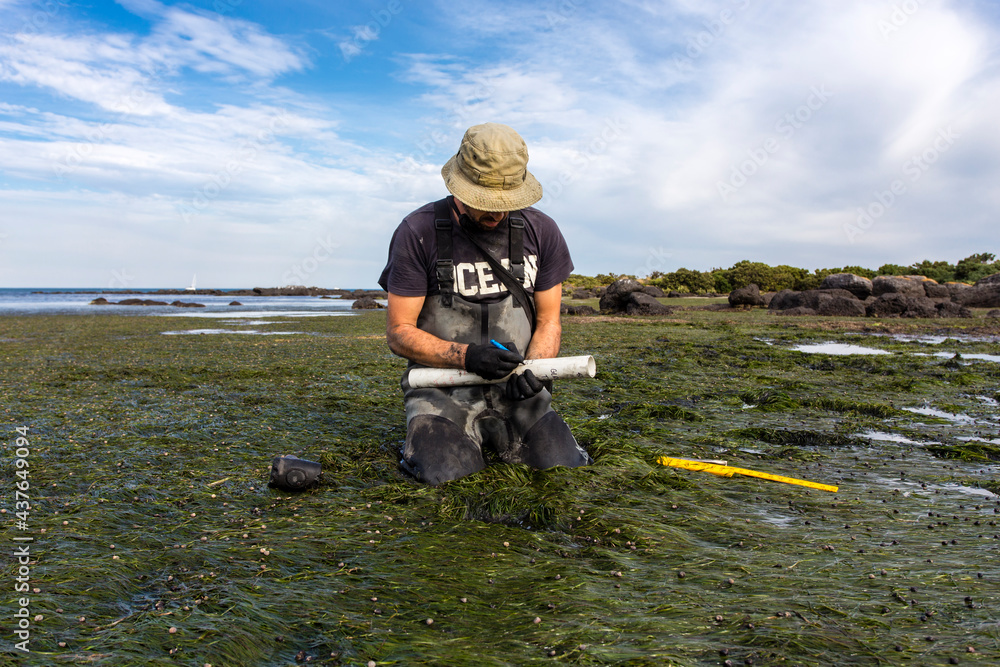 Scientist collecting a sediment core to asses carbon sequestration ...