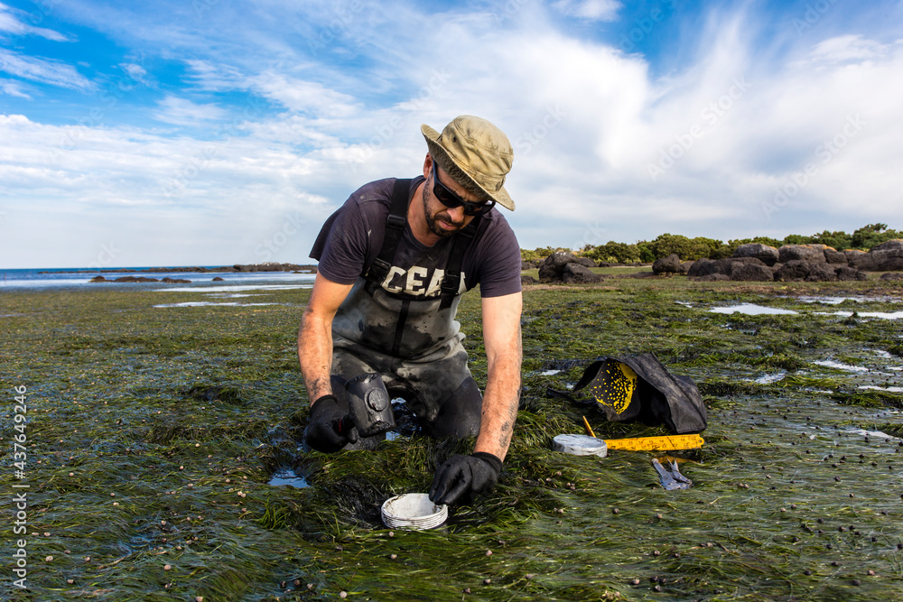 Scientist collecting a sediment core to asses carbon sequestration ...