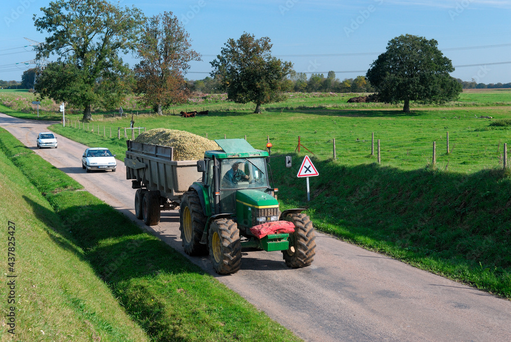 Circulation d'engins agricoles. Tracteur avec remorque de maïs ensilé ...