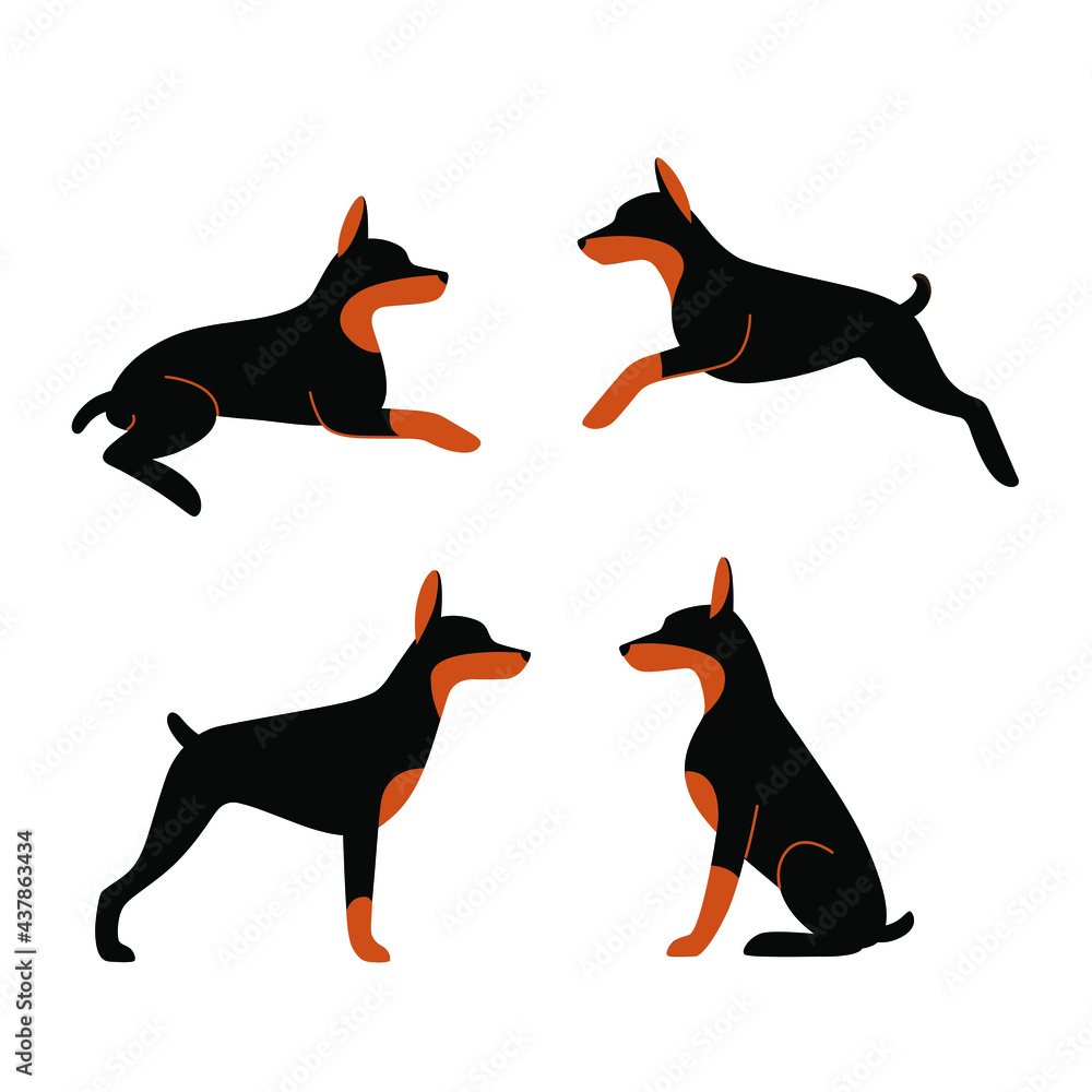 Cartoon dog icon set. Different poses of doberman. Vector stylized ...