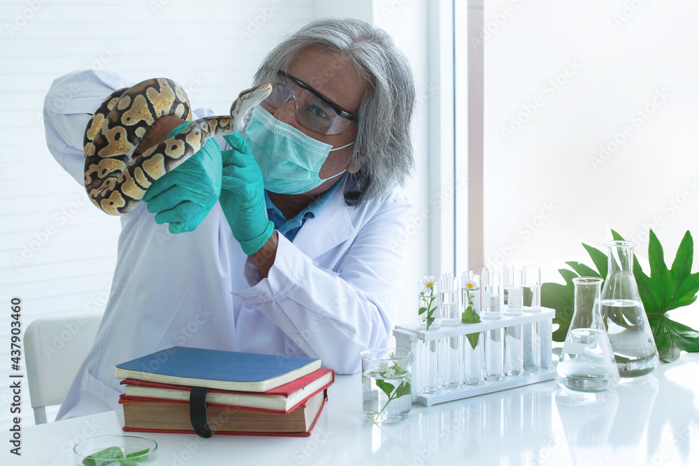 Scientists are working to study snakes in the lab, study of biology on ...