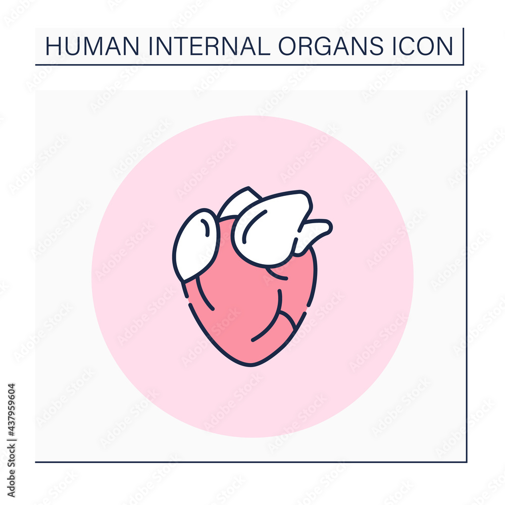Heart color icon. Main body organ. Pumps blood through blood vessels of ...
