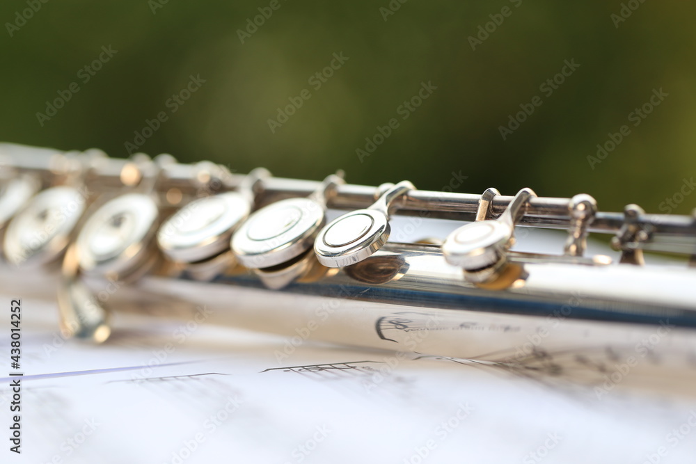 Flute, woodwind brass instrument in classical orchestra. Silver modern ...