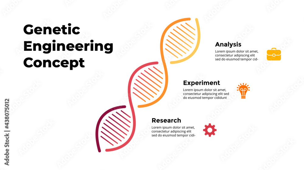 DNA Infographic. Scientific medical concept. Genetic engineering. 3 steps diagram. Vector ...