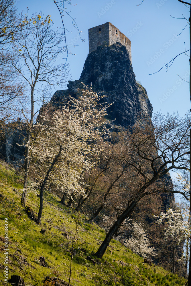 Medieval gothic castle Trosky at two basalt volcanic plugs, tower on ...