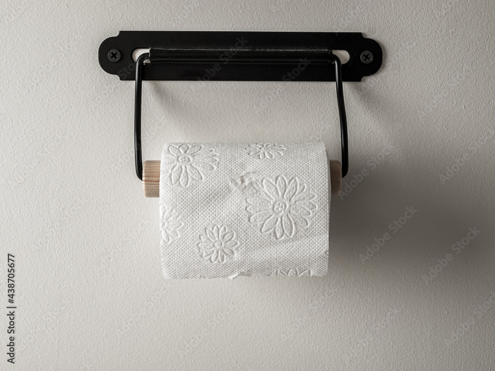 toilet paper roll on toilet holder, the concept of intestinal disorder ...