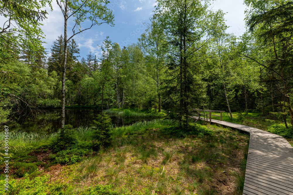 Educational Trail Kladska (Glatzen) - one of the oldest and largest ...