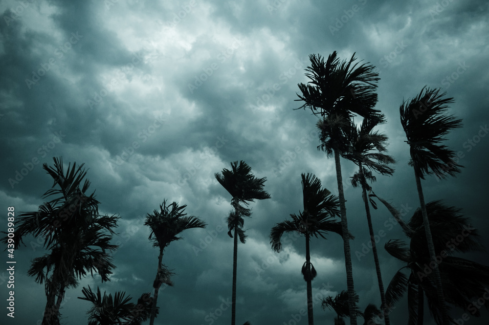 Thick dark black heavy storm clouds covered summer sunset sky horizon ...