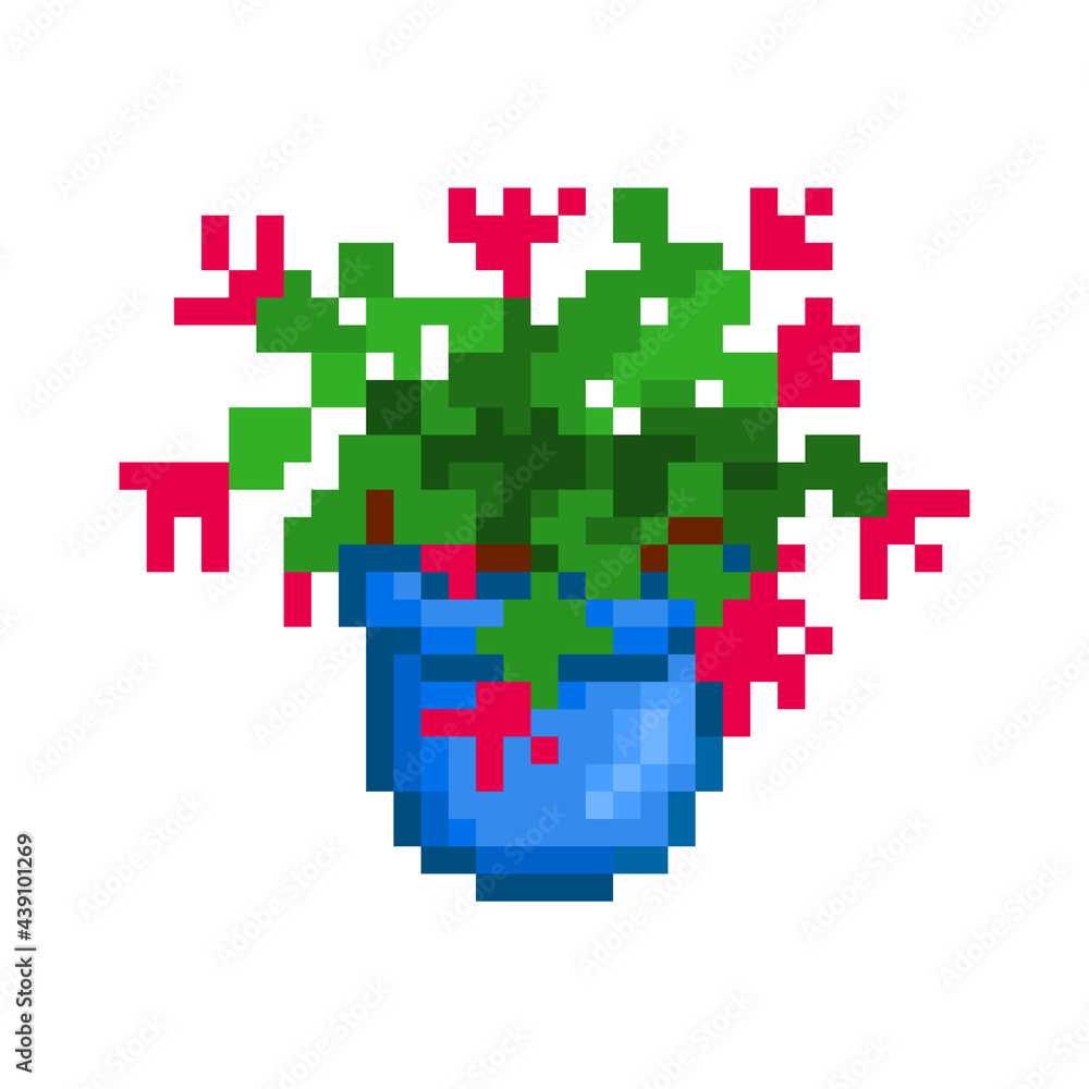 Schlumbergera in a blue pot, pixel art icon isolated on white ...