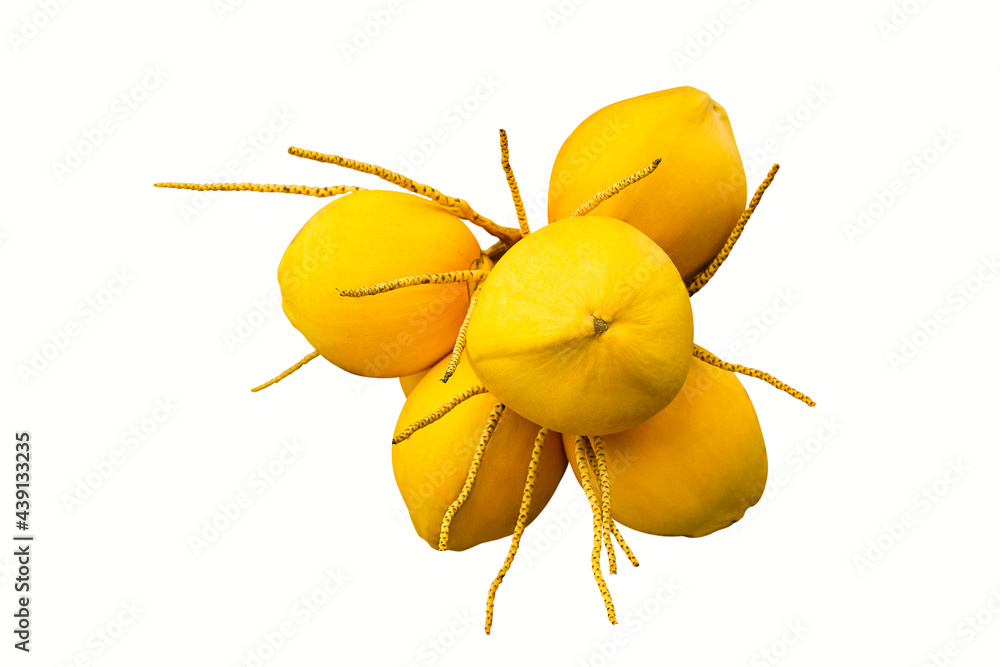 Beautiful king coconut (yellow coconut) fresh coconut cluster isolated ...