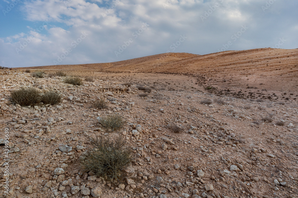 Negev is a desert and semidesert region of southern Israel. Stock Photo ...