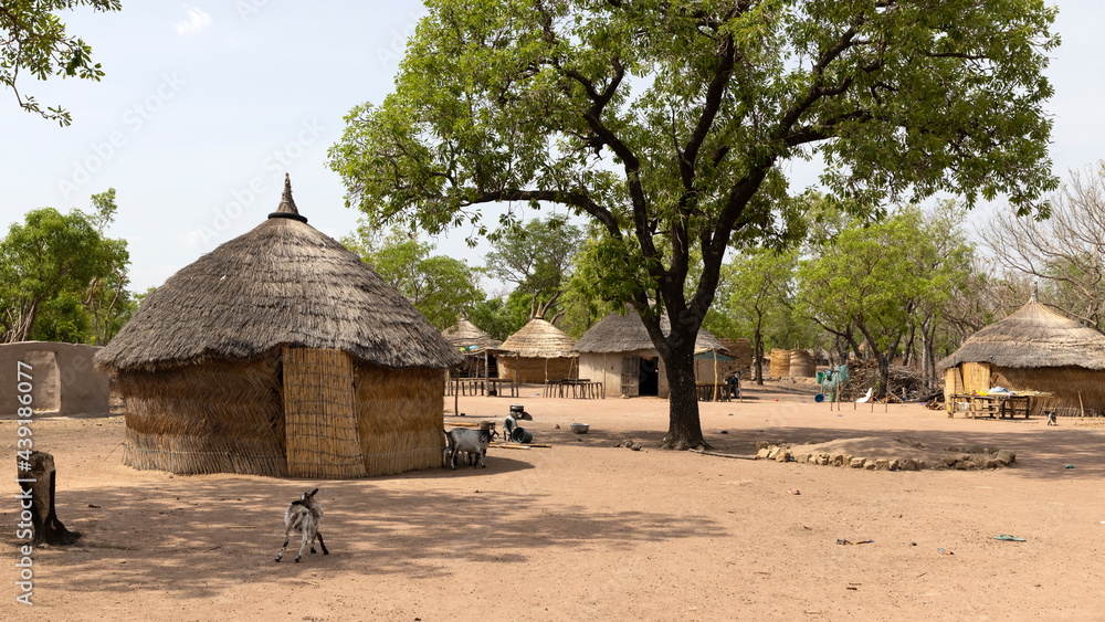 Traditional northern Ghana grass hut bush village Africa. Northern ...