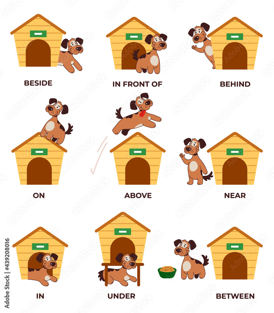 Vector de Stock English prepositions learning with cute little dog ...