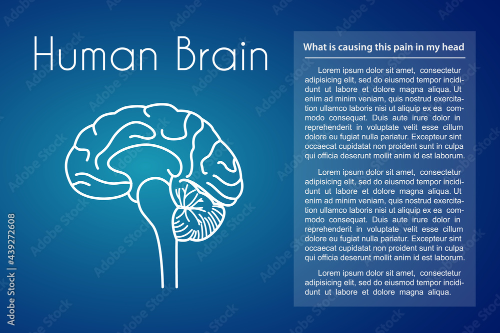 Human brain linear medical icon on blue background. Vector illustration ...