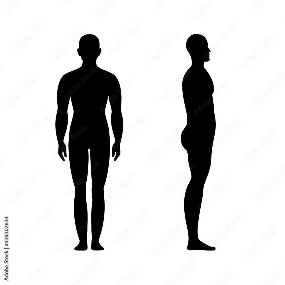 Male anatomy human front and side view body silhouette Stock Vector ...