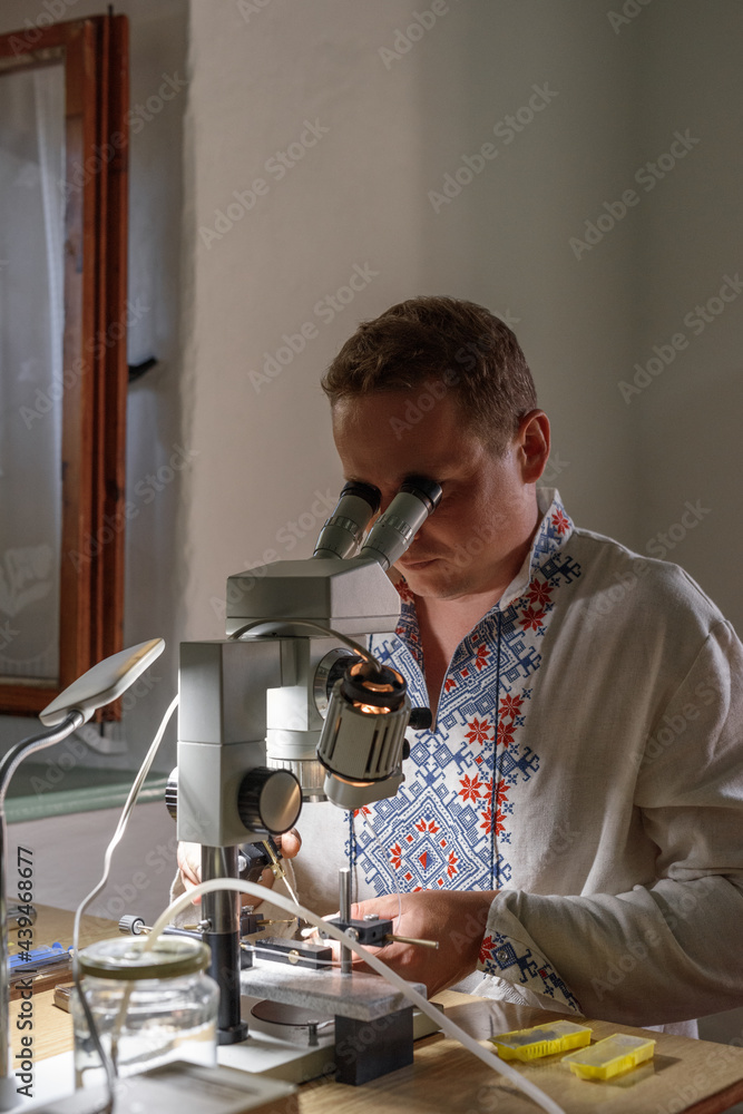 Man looking at queen bee through microscope during insemination process ...