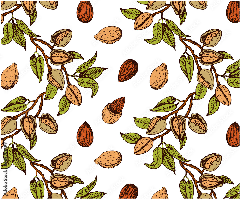 Sketch drawing pattern of colorful almond nut tree isolated on white ...
