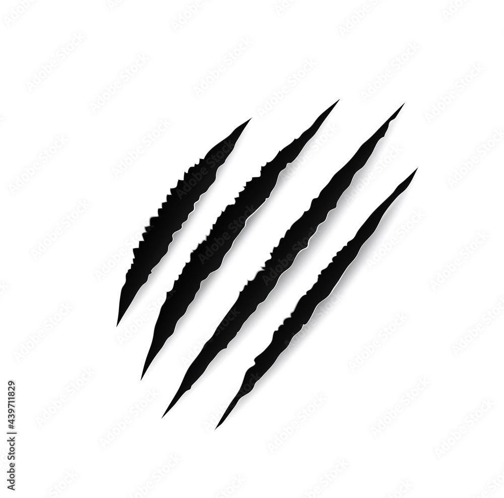 Animal claw marks, paw scratches, vector slash traces of tiger, bear ...