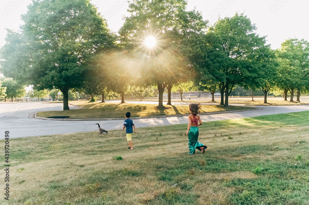 Brother and sister chasing geese. Stock Photo | Adobe Stock