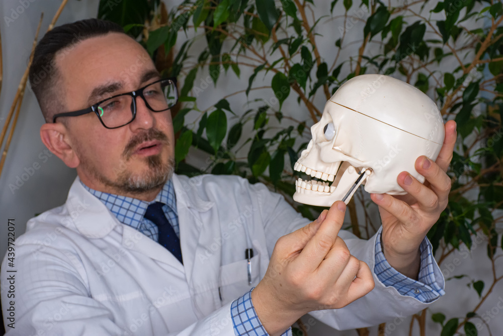 Photo Stock Doctor shows patient during consultation on human skull ...