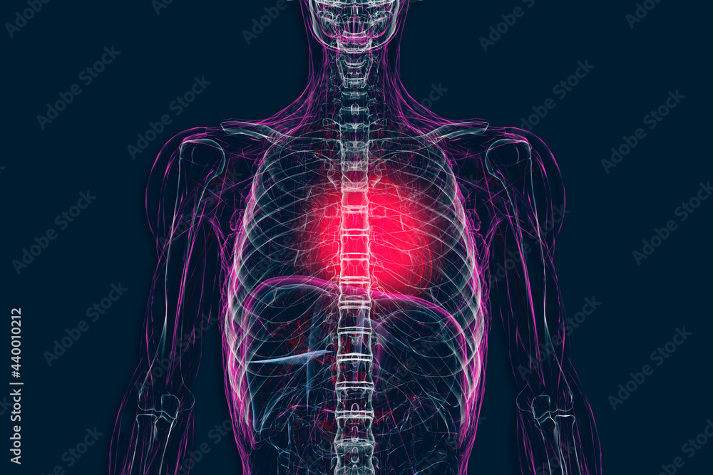 Computed tomography (CT scan) detects abnormal heart function and the ...