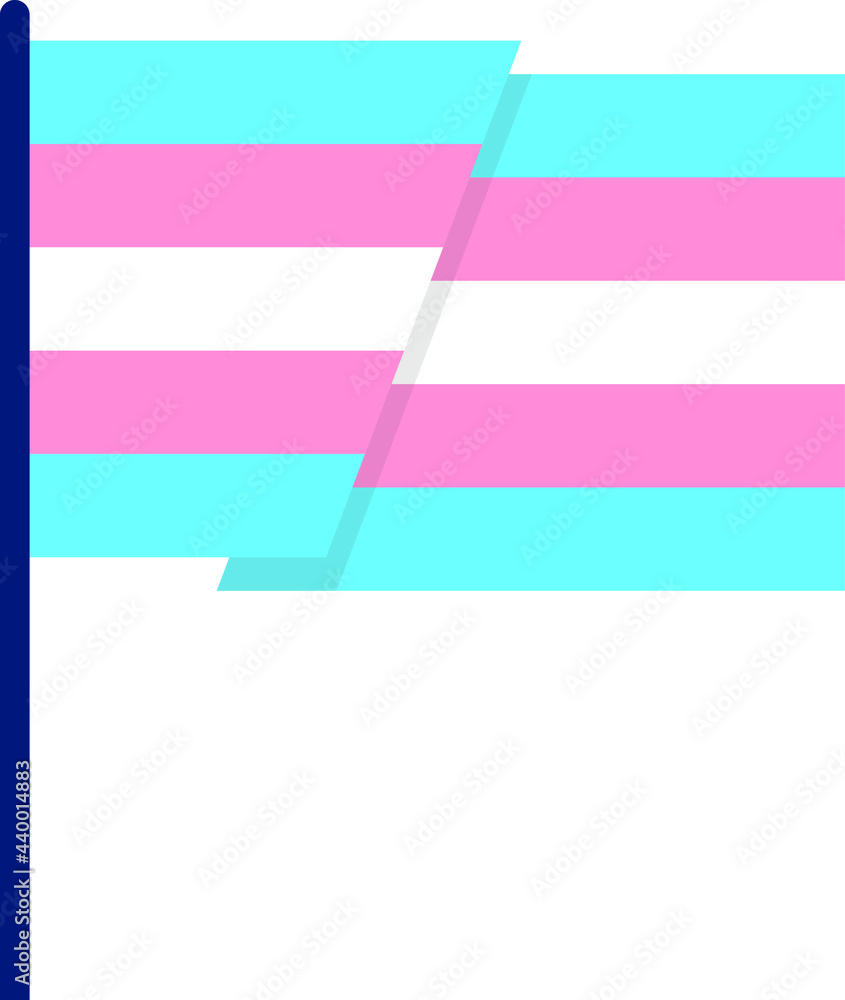 LGBT community. Flag of transgender. Transgender people Official ...