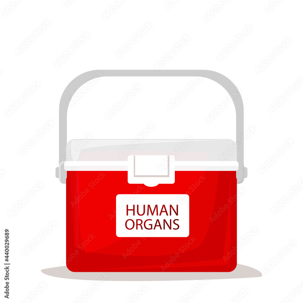 Portable fridge for transporting donor humans organs. Red cooler ...