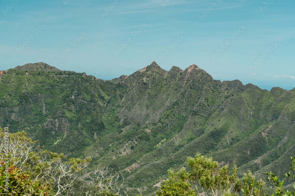 Waianae Range , Mount Kaala Trail , Oahu, Hawaii Stock Photo | Adobe Stock