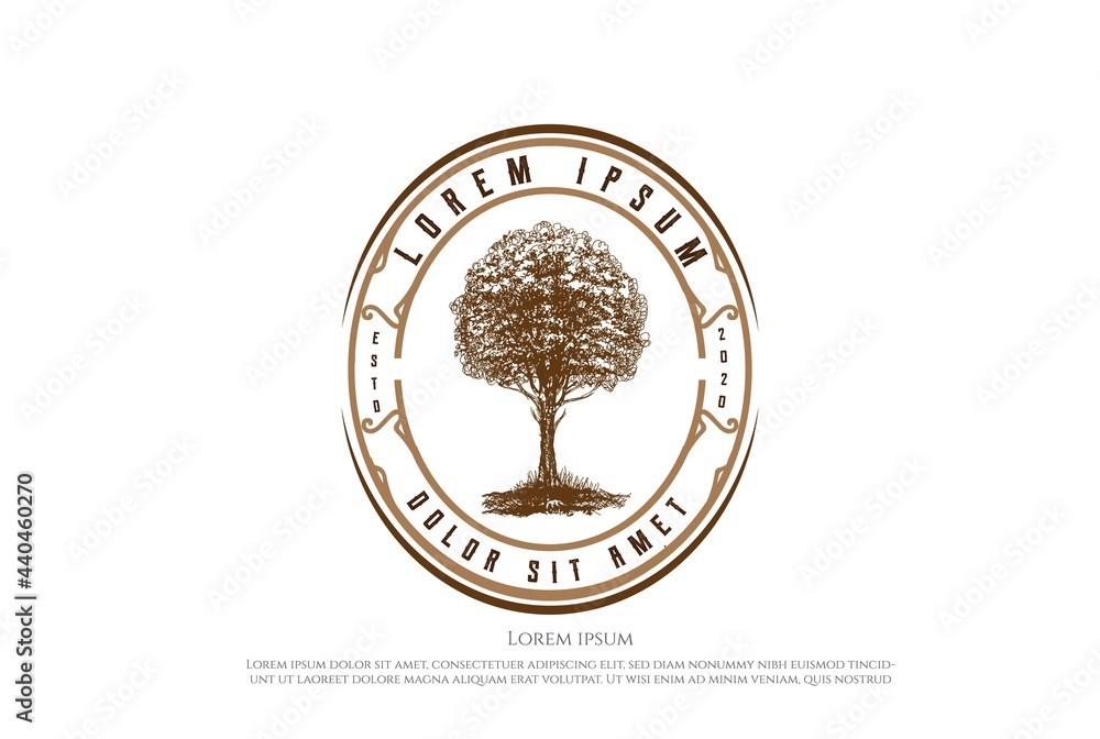 Rustic Hand Drawn Oak Banyan Maple Tree Badge Emblem Label Logo Design ...