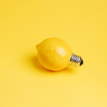 Lemon Bulbs Free Stock Photo - Public Domain Pictures