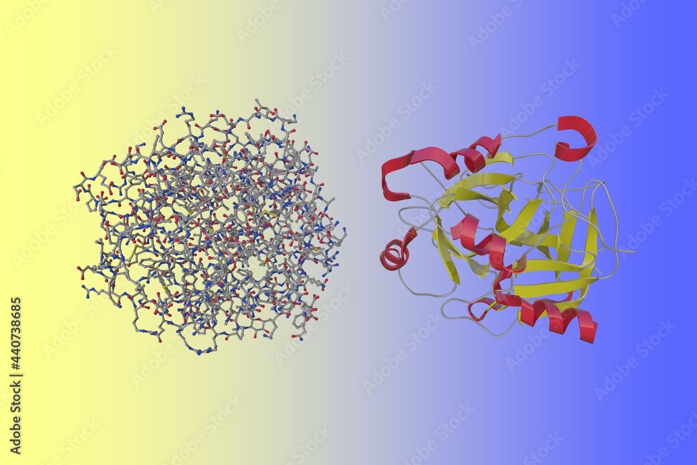 Crystal structure and molecular model of human thrombin-inhibitor ...