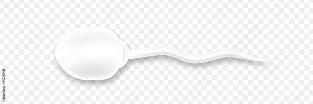 Vector realistic isolated sperm on the transparent background. Concept ...