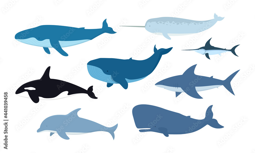 Vector set of whales and marine animals. Undersea world. shark, dolphin ...