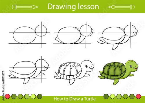 Drawing step by step. How to draw a cute turtle. Kids drawing tutorial ...