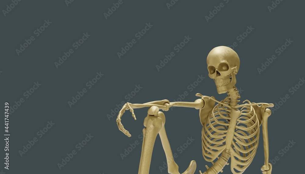 sitting chilled skeleton model 3d render Stock Illustration | Adobe Stock