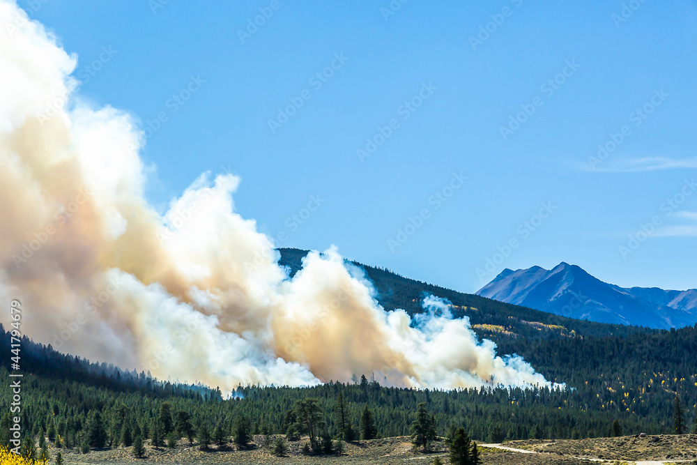Forest fire produces large smoke plume that is blown in Lake County ...
