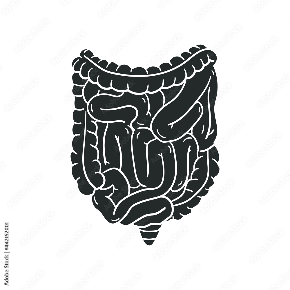 Bowels Icon Silhouette Illustration. Human Body Vector Graphic ...