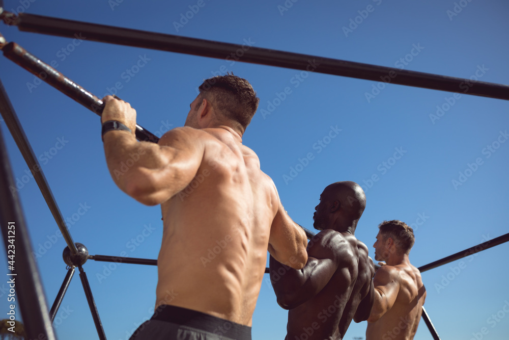 Diverse group of fit shirtless men exercising outdoors, doing pull ups ...