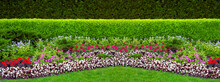 Flower Bed In The Park Free Stock Photo - Public Domain Pictures