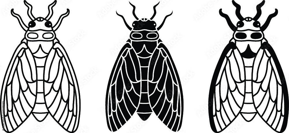 Cicada Clipart Set - Vector Drawing Stock Vector | Adobe Stock