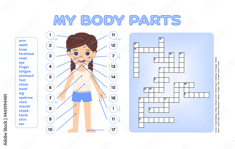 Crossword puzzle of my body parts and Beautiful girl in underwear on ...